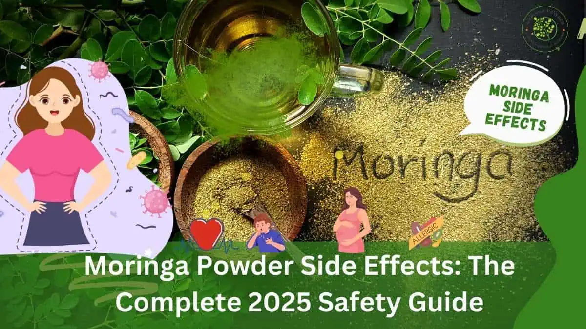 Moringa Powder Side Effects: The Complete 2025 Safety Guide | Moringa Powder Organic